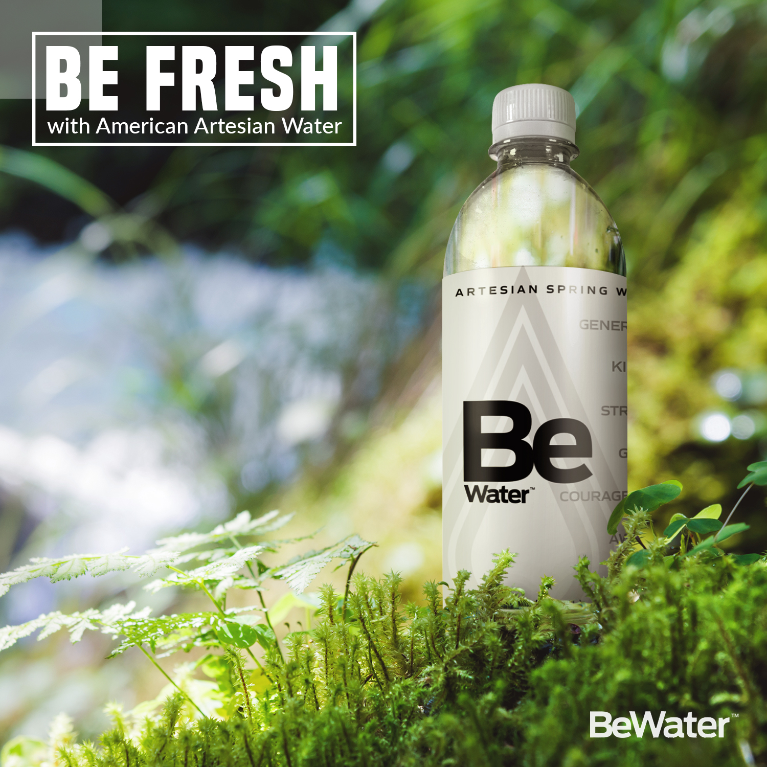 Be Water Artesian Spring Bottled Water (Made in the U.S.A.) | Be Water ...